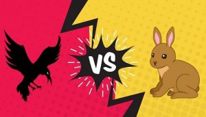 Do crows eat rabbits? (+5 facts you don't know) - AnimalFate