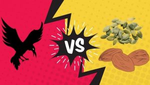 Do crows eat nuts and seeds? - AnimalFate