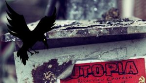 What Does a Crow Poop Look Like? (+ How to Remove It) - AnimalFate