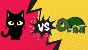 Do cats eat turtles? (and how?!) - AnimalFate